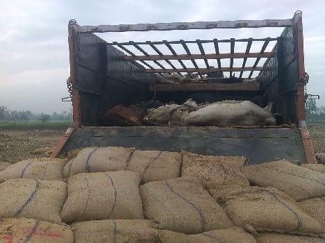 53 Banned Animal Recovered In Katra - कटरा में 53 प्रतिबंधित पशु बरामद ...