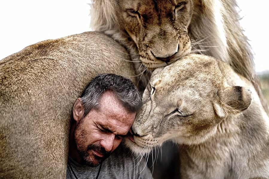Friendship Between Lion And Human - शेरों और इंसान की पक्की दोस्ती ...