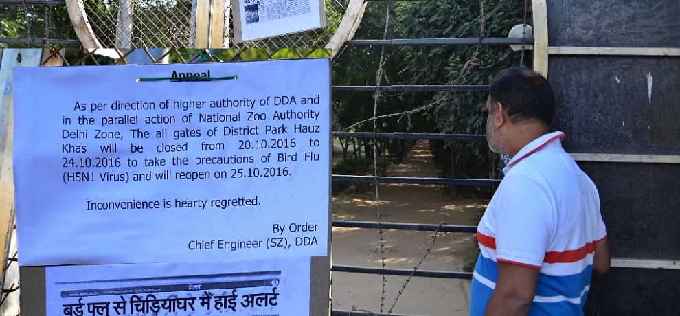 Bird Flu Spreading In Delhi, After Delhi Zoo Hauz Khas Dear Park Also ... Bird Flu Spreading In Delhi, After Delhi Zoo Hauz Khas Dear Park Also ...