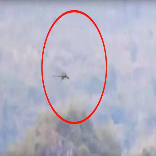 Dragon Caught On Camera In China - चीन के पहाड़ों पर दिखा 'ड्रेगन ...