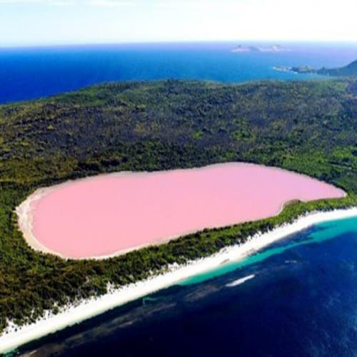 The Bizarre Pink Lake In Australia - क्या आप जानते हैं 'गुलाबी झील' का ...