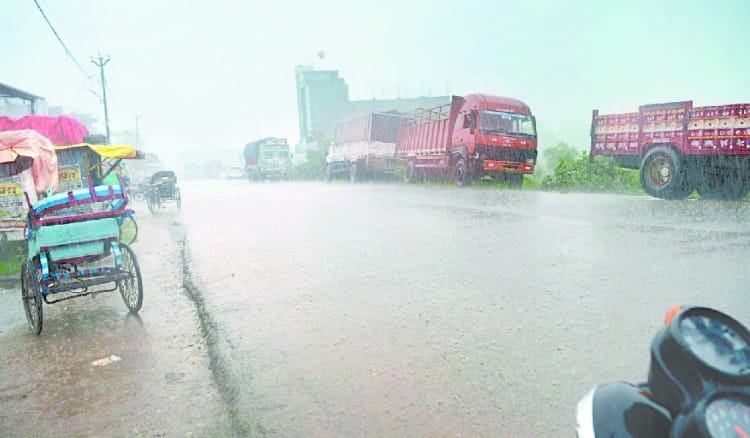 Rain Fall In Gonda - झुलस रही फसलों को मिली बारिश की संजीवनी - Amar Ujala Hindi News Live