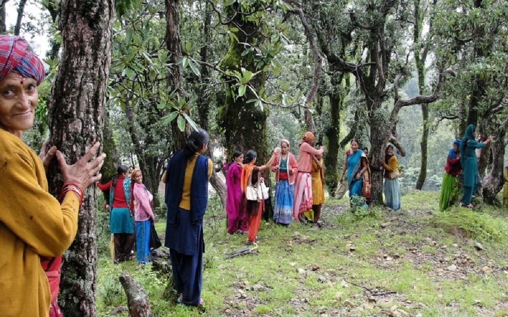 Chipko Movement Of South India Appiko Movement Was Started By Pandurang ...