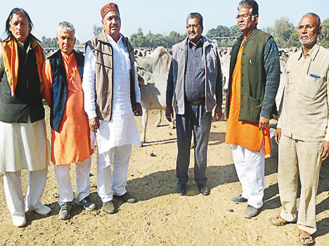 Everyone Will Have To Come Forward For The Protection Of Anna Cows ...