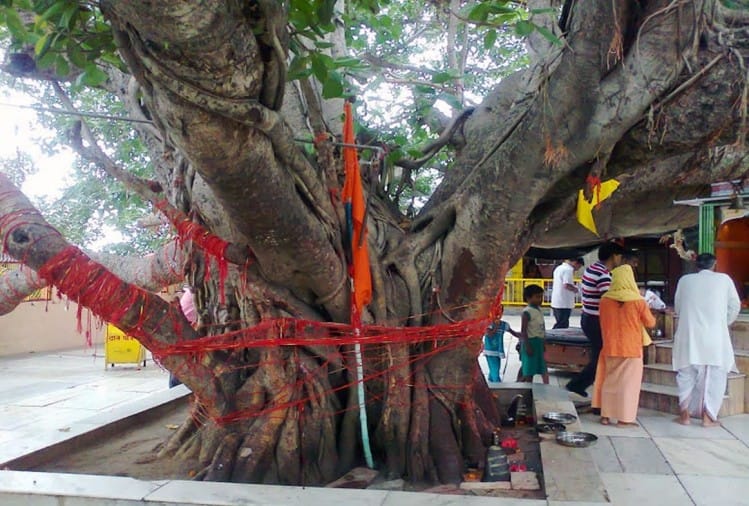 Vat Purnima Vrat 2018: Know The Significance And Fasting Rules Of This ...