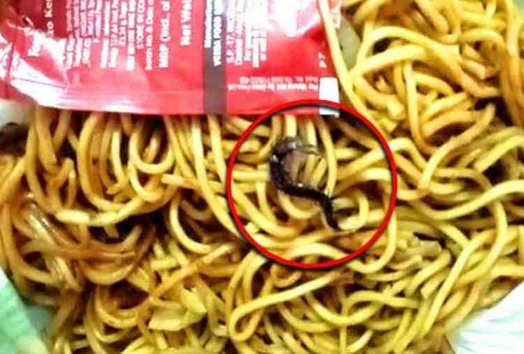 Don't Eat Noodles From Fast Food Corner, Insecr Found In Noodles ...