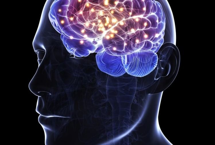 After Death Brain Activity Makes Hope For Future - मौत के बाद भी दिमागी ...