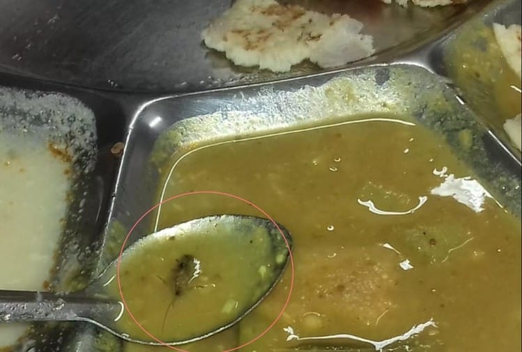 Insects Found In Food Of Bbau Mess - सेंट्रल यूनिवर्सिटी की मेस में मिल ...