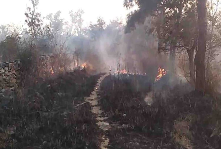 Fire In Mendhar Poonch Jammu Kashmir Jungle On Line Of Control, Mine ...