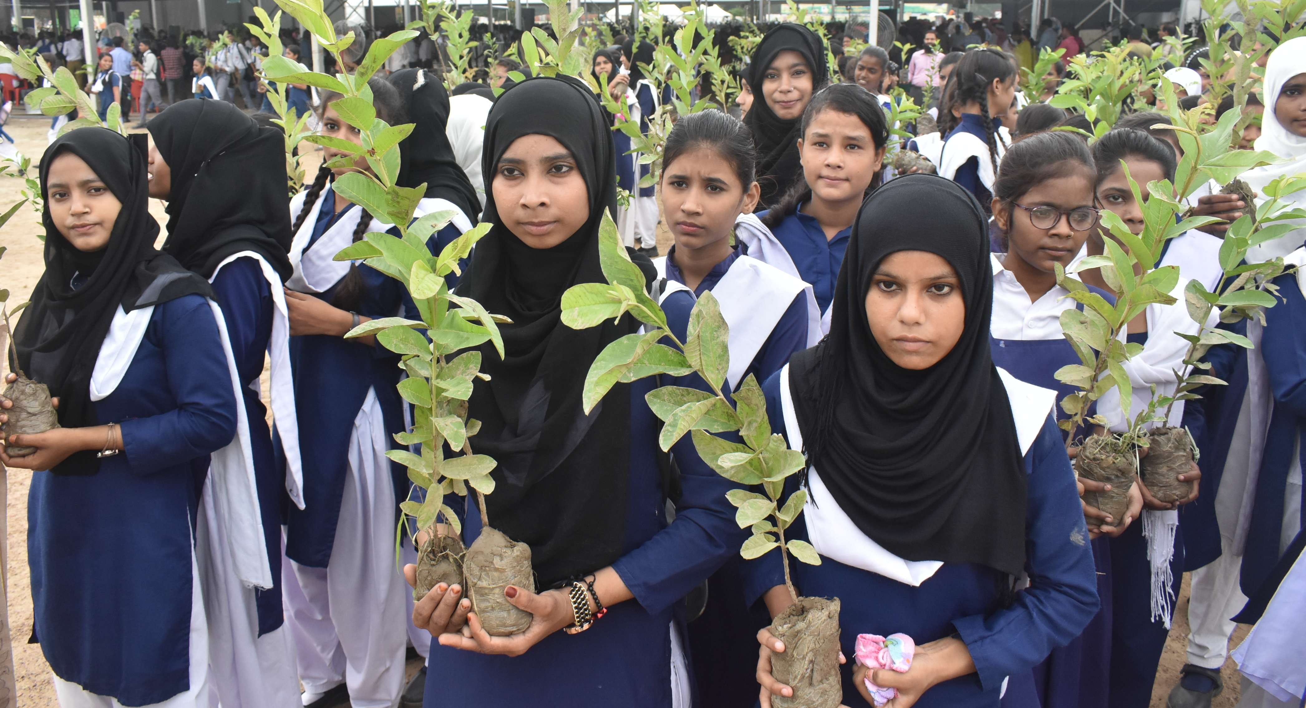 Prayagraj Set A World Record By Distributing Plants - Prayagraj News ...