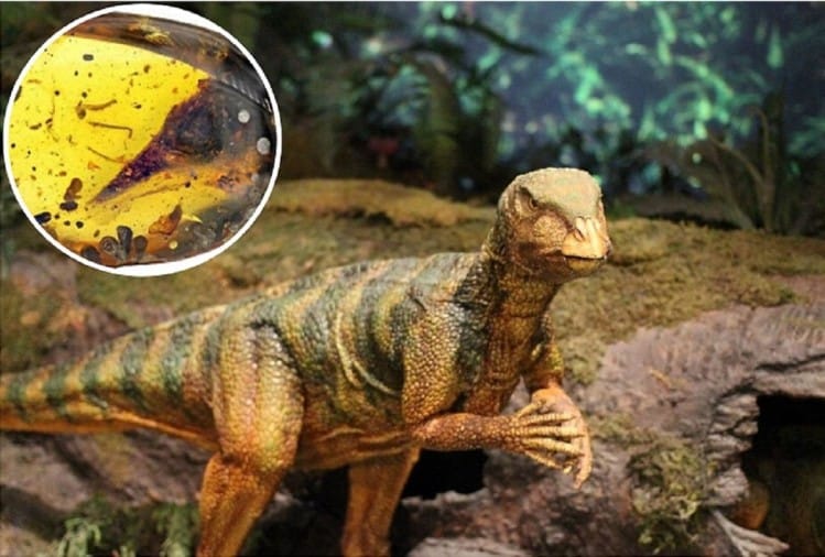 Worlds Smallest Dinosaur Fossil Found In 990 Lakh Year Old Amber In ...
