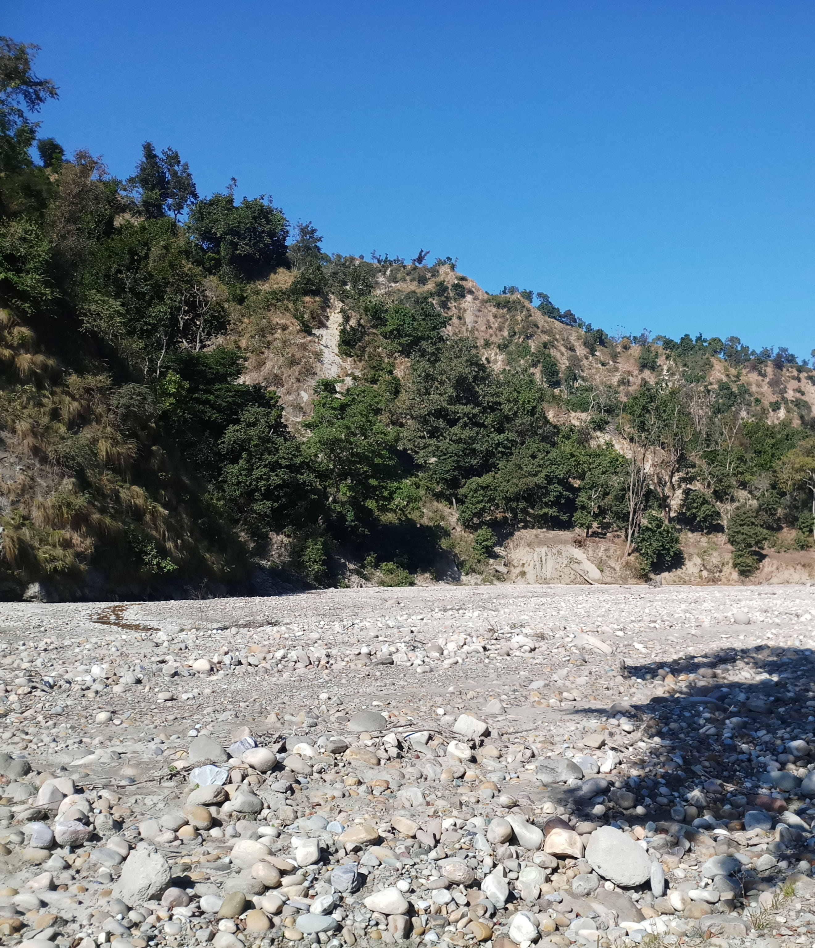 Shivalik Forest Area Is Full Of Natural Beauty - Saharanpur News ...