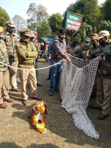 - Learn The Tricks To Leave The Trapped Guldar In The Forest ...