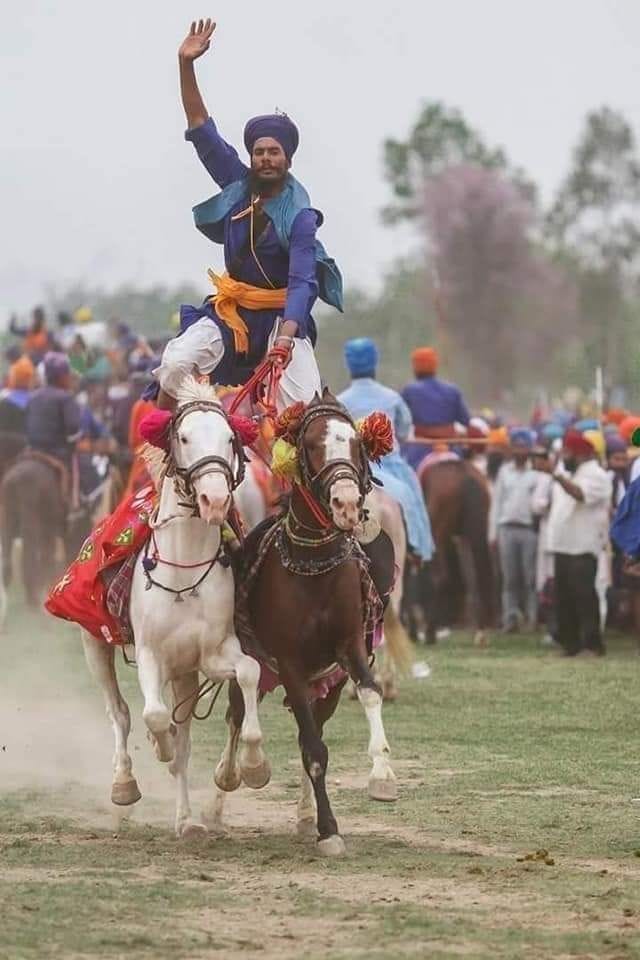 A Large Number Of Sangat Reached The Last Day Of Hola Mohalla, Nihang ...