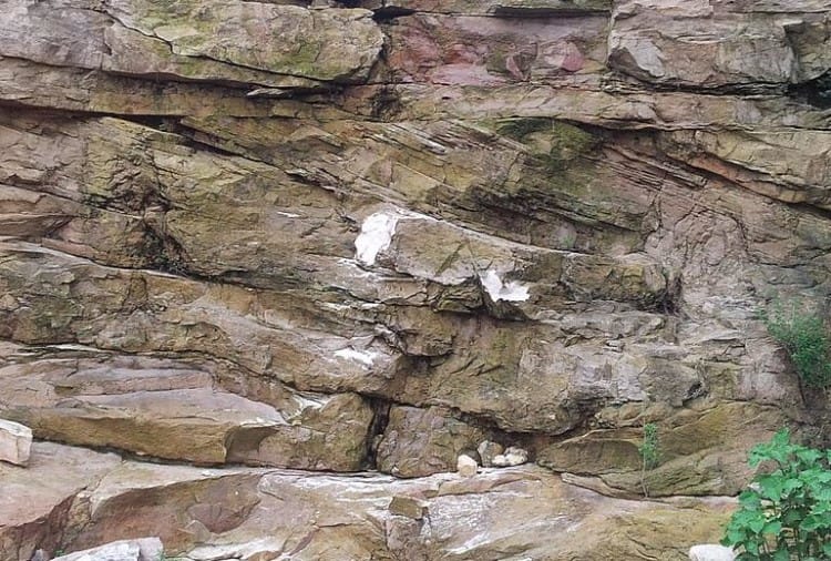 Madhya Pradesh Asi Team And Historians Discovered Devi Shakti Puja ...