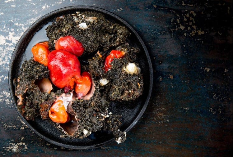 Mysterious Pyura Chilensis Stone Blood Start Coming While Cutting Know ...