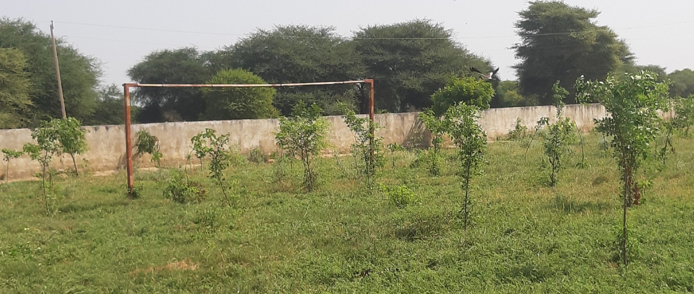 There Is No Stadium In Savita Poonia's Village, Sherpura Sports Ground ...