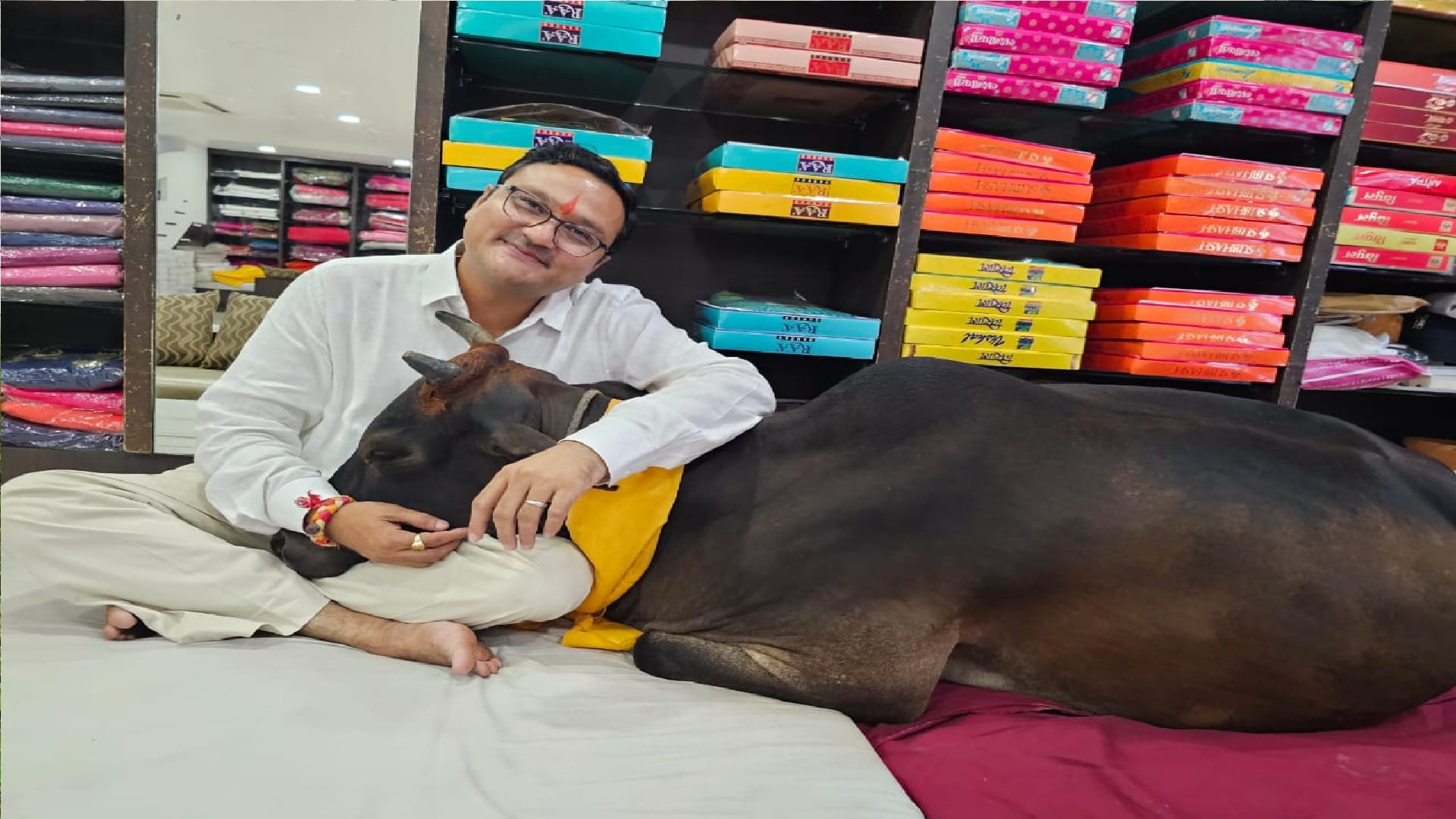 Raipur Cow News:यहां शोरूम का दरवाजा खोलती है गाय, बैठती है मालिक की ...