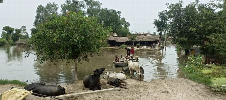 Nine Villages Of Dataganj, Usihat And Sahaswan Area Became Islands ...