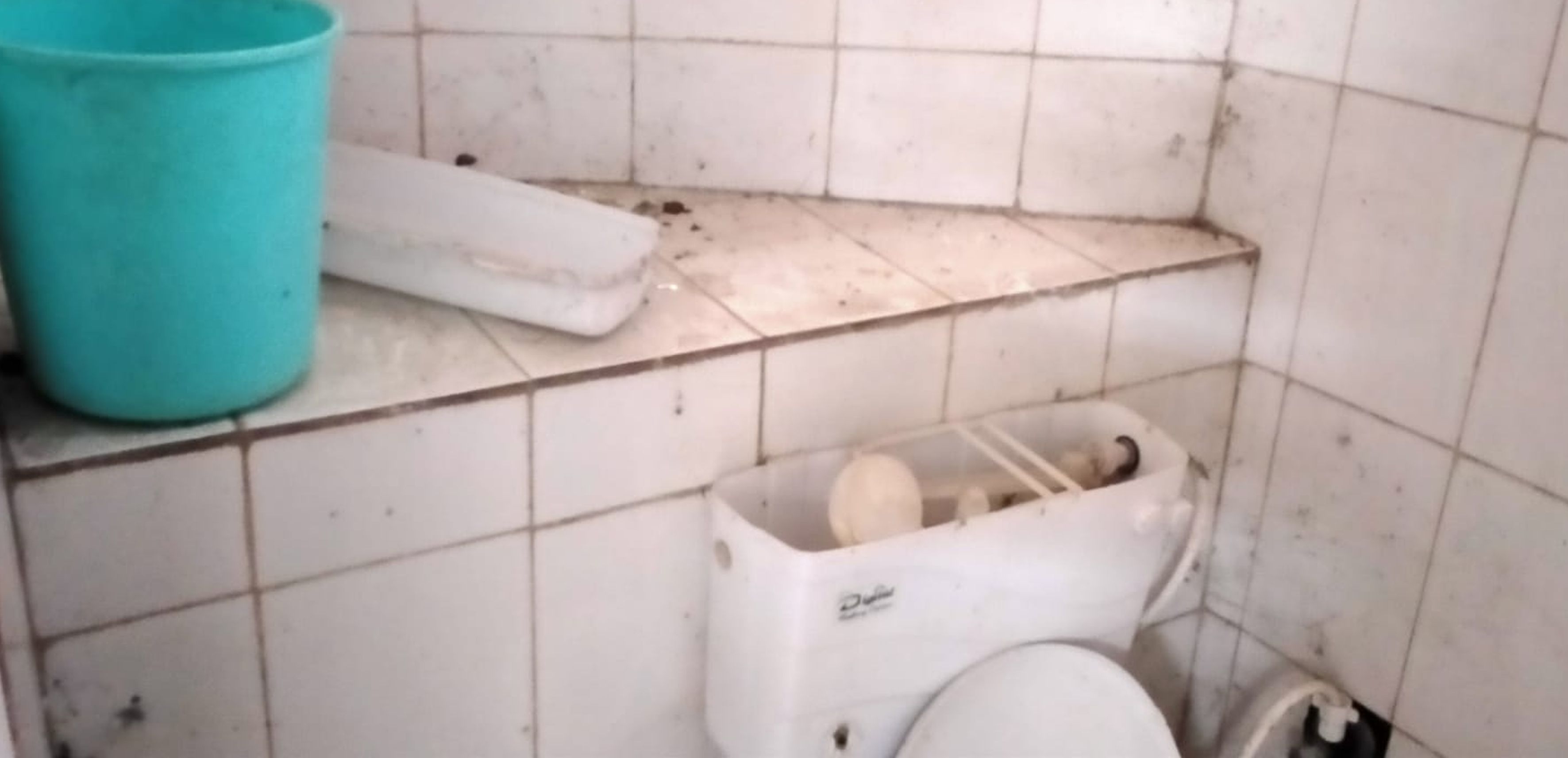 Sitting On A Pile Of Garbage, He Is Giving Advice To Others About ...