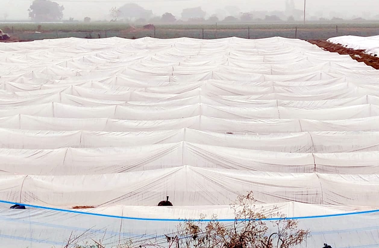 Cold Wind Increased The Chill... Visibility Was Zero In The Fog ...