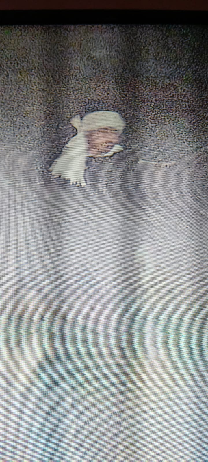 Taking Advantage Of The Fog, Thieves Stole Valuables Worth Millions ...