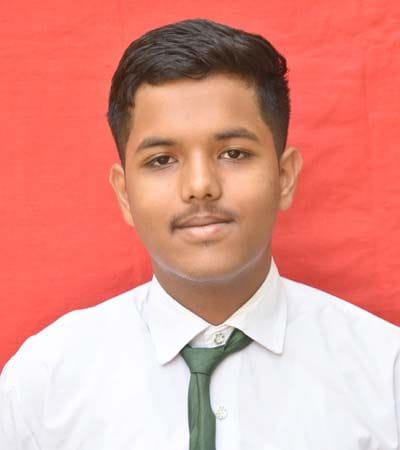 Dps Jhakri Students Excel In Jee Main And National Level Aryabhatta ...