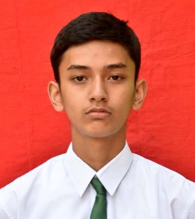 Dps Jhakri Students Excel In Jee Main And National Level Aryabhatta ...