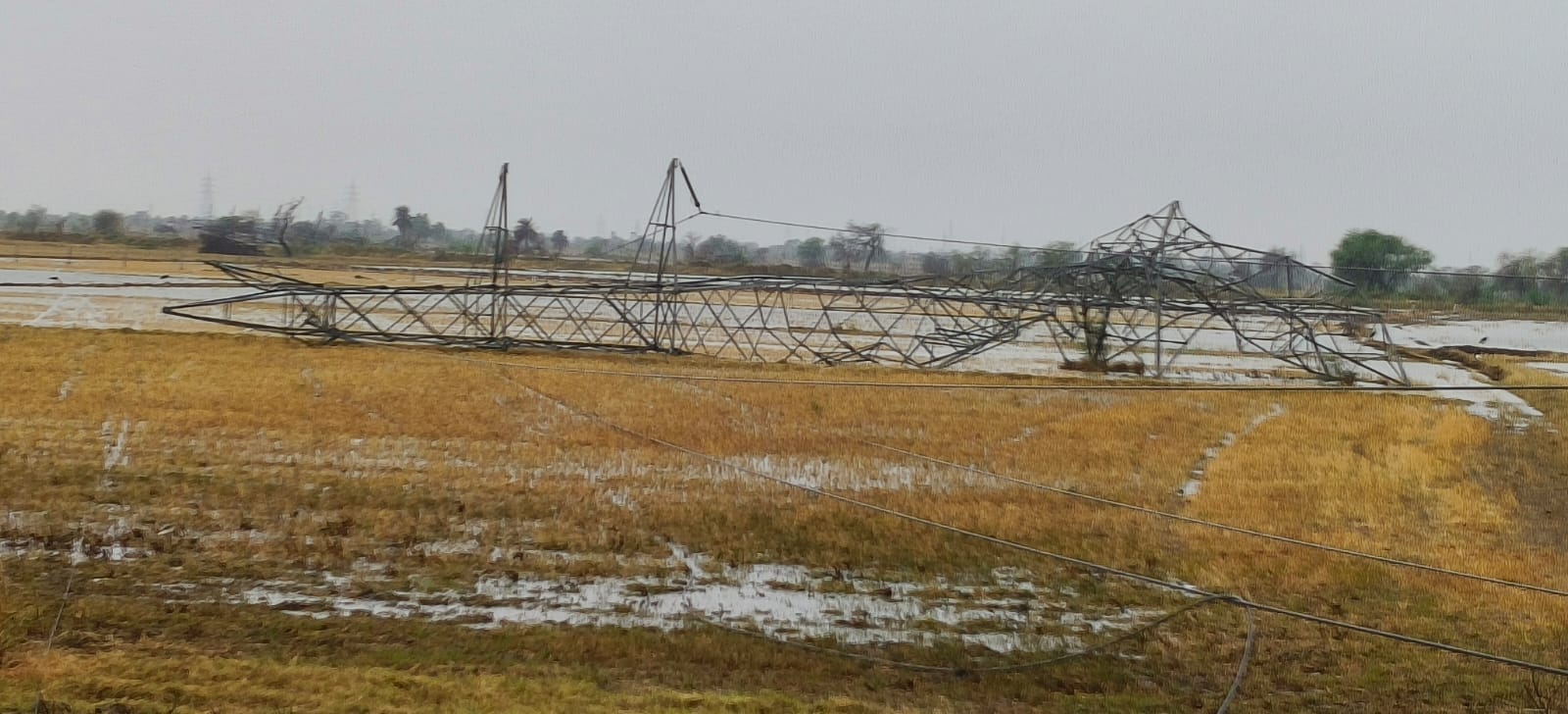 Storm Wreaks Havoc...two Dead, Five Seriously Injured, A Dozen Trains ...