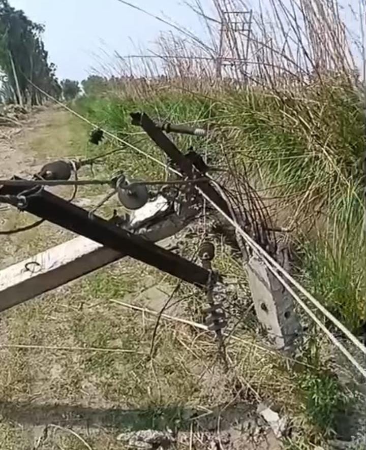 600 Trees And 160 Electricity Poles Fell; The Collapse Of Seven ...