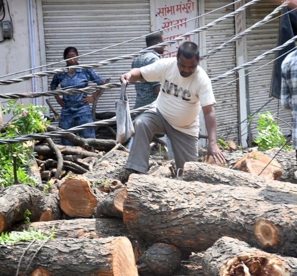 Tree Falls On High-tension Wires; Power And Water Supply Disrupted For ...