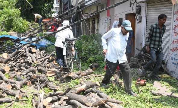 Tree Falls On High-tension Wires; Power And Water Supply Disrupted For ...