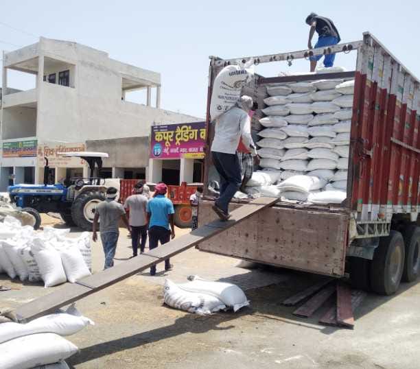 Crop Market, Crop Purchase, Farmers, Jhajjar - अनाज के उठान में आई तेजी ...