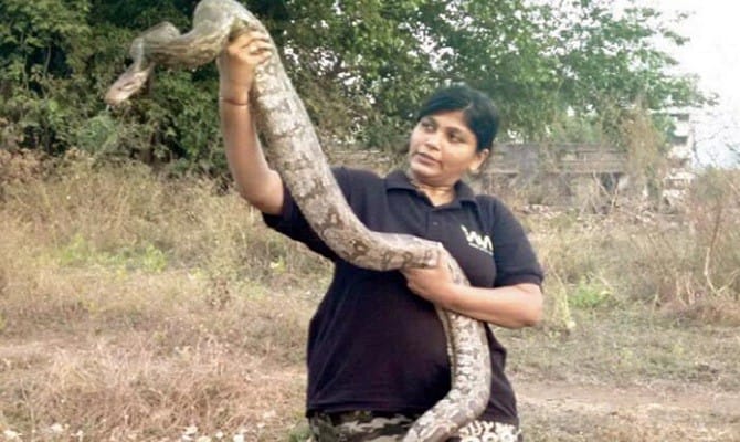 Meet Indian Women Snake Catchers - कौन कहता है महिलाएं डरती हैं? मिलिए ...