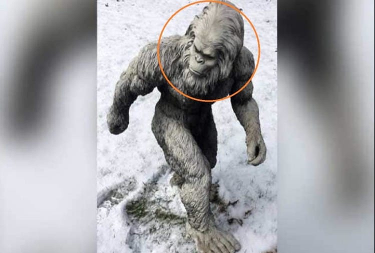 Himalayan Yeti Mystery Indian Army Finds Mysterious Footprints Of ...