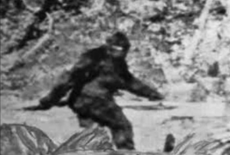 Himalayan Yeti Mystery Indian Army Finds Mysterious Footprints Of ...
