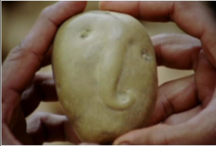 These Vegetable Looks Like Different - अजीबोगरीब सब्जियां, जिन्हें ...