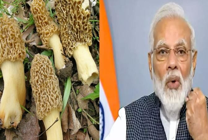 The Secret Of Health Of Pm Narendra Modi Is Hidden In This Vegetable ...
