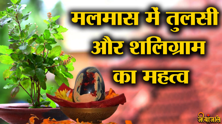 Adhik Maas 2023: मलमास के महीने में हर रोज तुलसी के साथ करें शालिग्राम की पूजा, जानें क्यों है ...