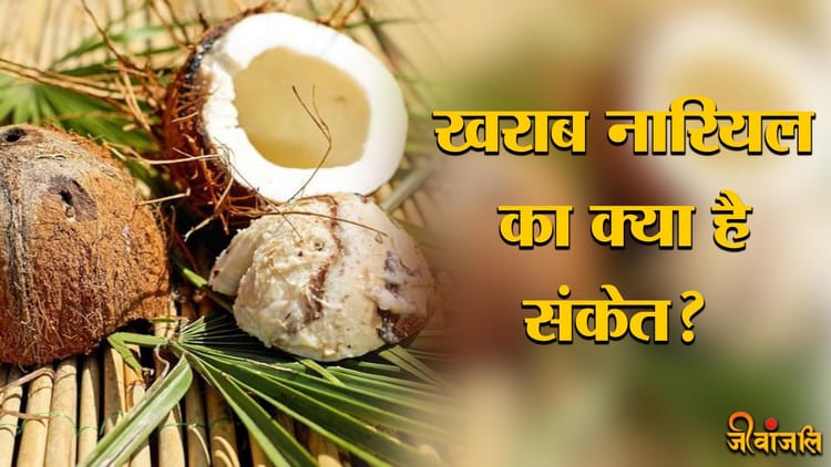 pooja path- पूजा के समय खराब नारियल निकलना किस बात का है संकेत,जानें - Jeevanjali