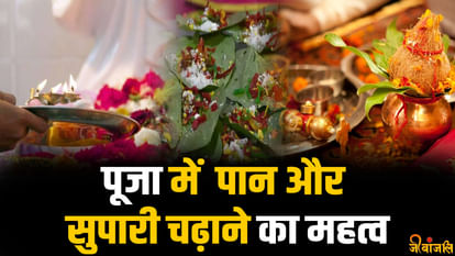 Puja Path:पूजा में पान और सुपारी चढ़ाने का क्या है महत्व जानिए - Jeevanjali