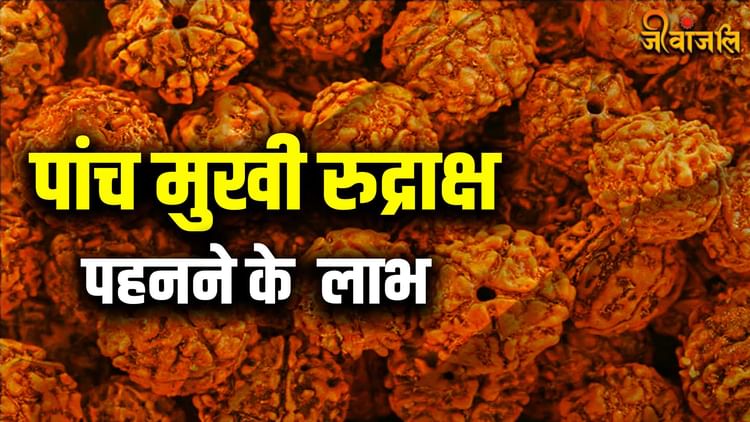 Panch Mukhi Rudraksha:आइये जानते हैं पंचमुखी रुद्राक्ष के रोचक तथ्य, और लाभ - Jeevanjali