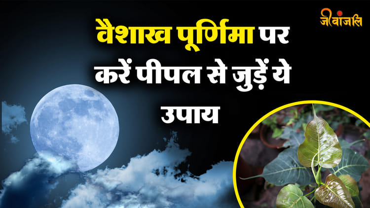 Vaishakh Purnima 2024: 23 मई को वैशाख पूर्णिमा, इस दिन पीपल के पेड़ के ...