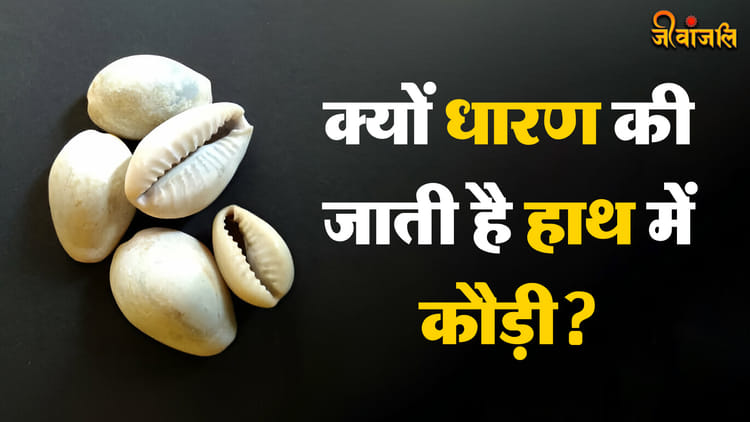 Benefits Of Wear Kaudi In Hand: क्यों धारण की जाती है हाथ में कौड़ी ...
