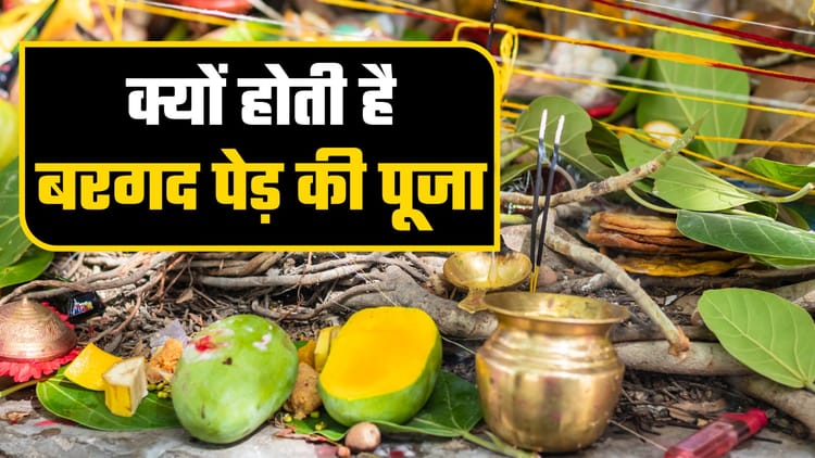 Bargad Ke Ped Kee Pooja: बरगद के पेड़ की पूजा का क्या है महत्व जानिए ...