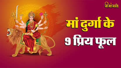Maa Durga Favourite Flower : नवरात्रि में मां दुर्गा को अर्पित करें ...