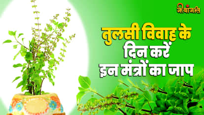 Tulsi Vivah 2024: तुलसी विवाह के दिन पढ़ें ये आरती और मंत्र, बनेंगे ...