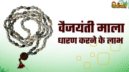 Vaijayanti Mala Benefit: जानिए वैजयंती माला पहनने के लाभ और नियम ...