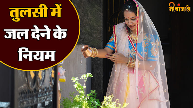 Tulsi Pooja Niyam: क्या है तुलसी को जल देने के नियम, जरूर जान लीजिए - Jeevanjali