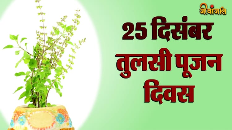 Tulsi Pujan Diwas: 25 दिसंबर को मनाया जाएगा तुलसी पूजा दिवस, जानिए ...